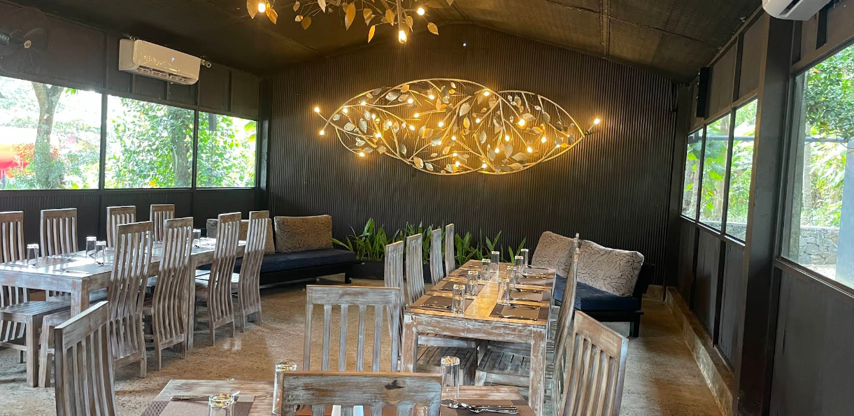 Wild Dish Restaurant: A Culinary Adventure Rooted in Nature ...